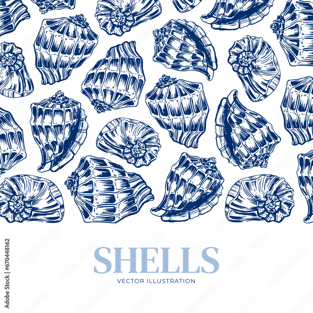 Shell. Hand drawn seashells. Engraving on a marine theme. Vector ...