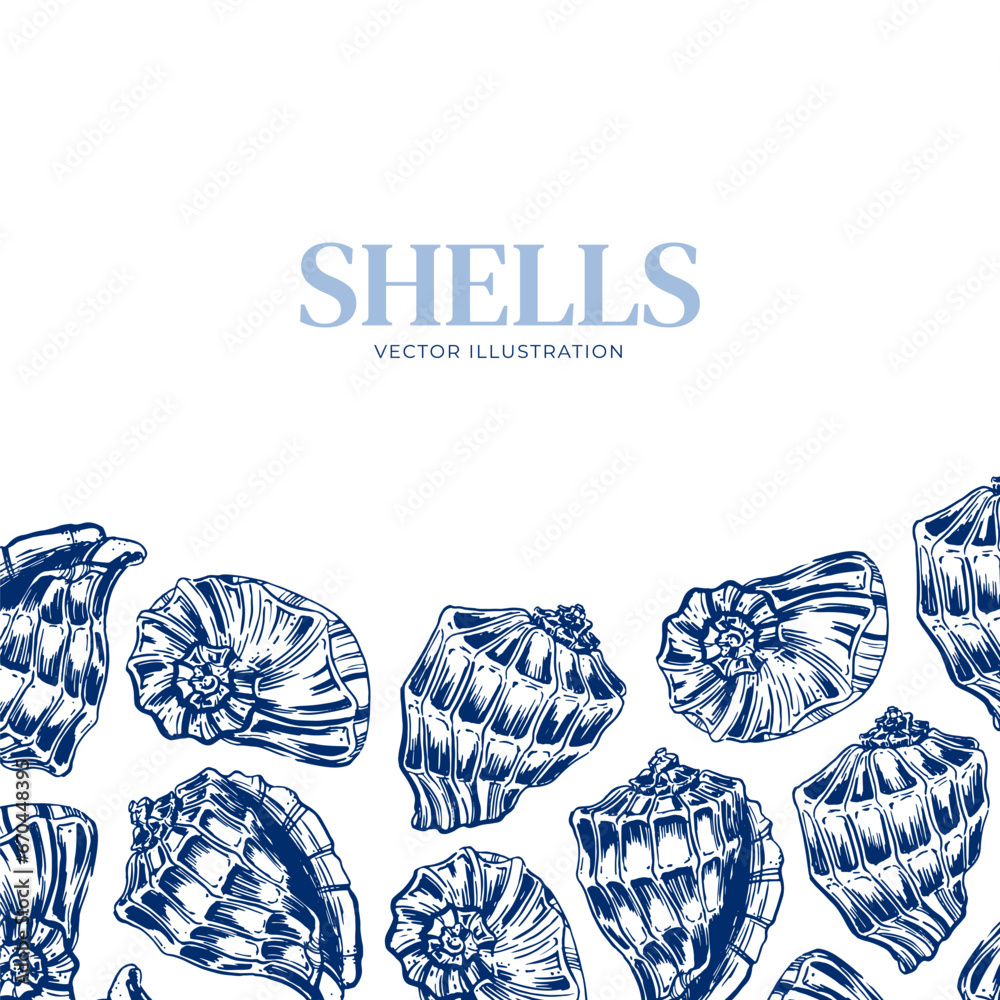 Shell. Hand drawn seashells. Engraving on a marine theme. Vector ...