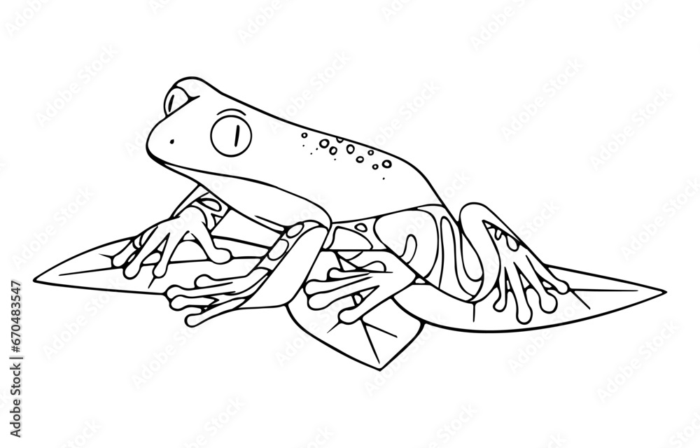 Outline Splendid treefrog, rainforest tree frog. Small patterned toad ...