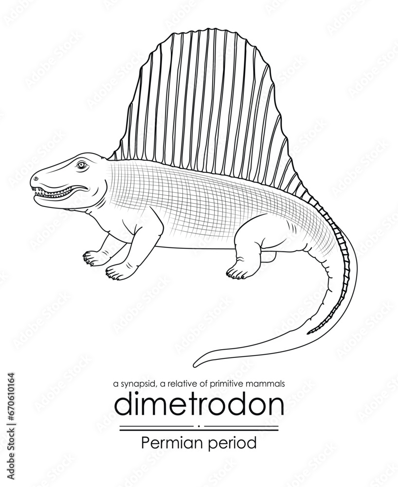 Dimetrodon, one of the earliest relatives of mammals, Permian period ...