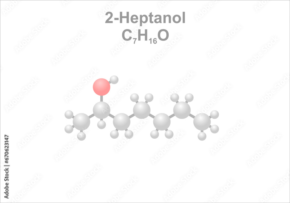 Poster Simplified scheme of the 2-Heptanol molecule. – Wall Art | UkPosters