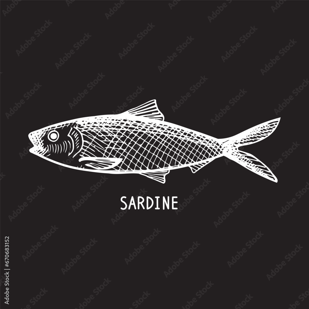 Fish Sardel hand drawn background with text Sardine, vector ...