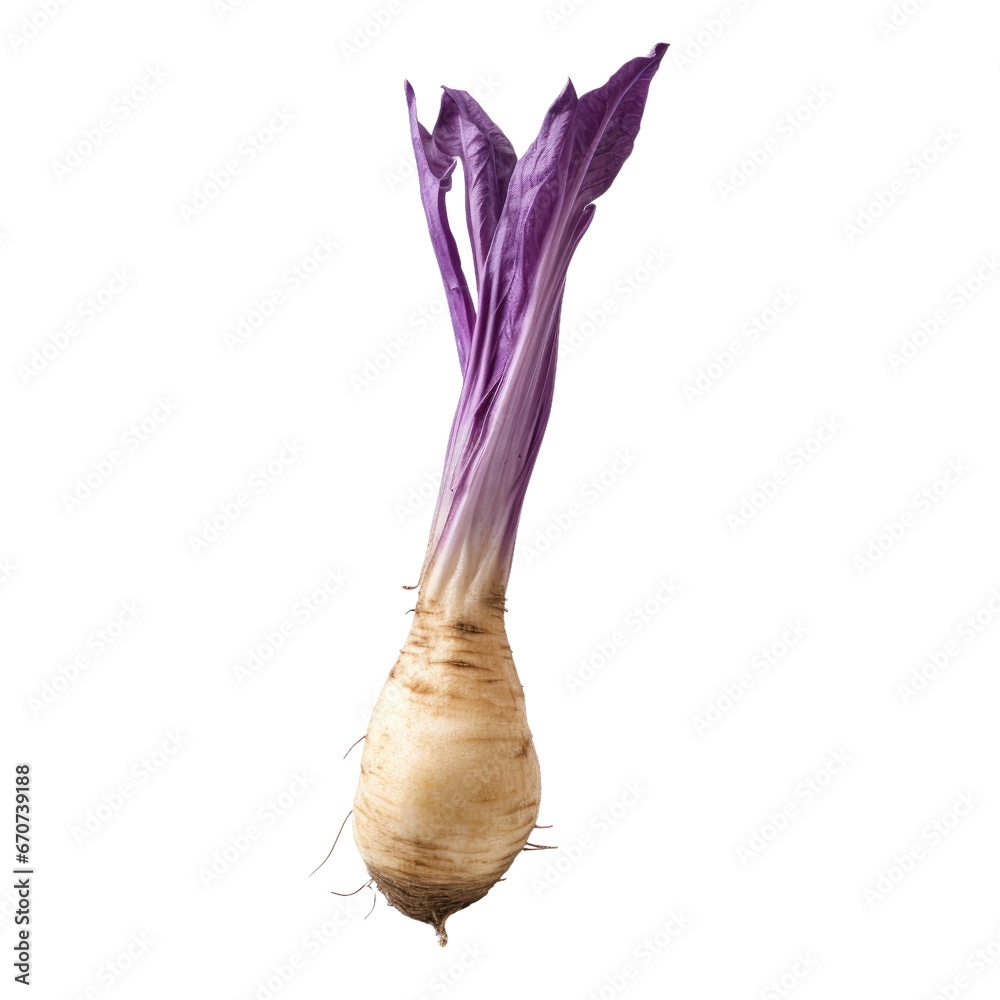 Realistic Taro Root, on transparent background Stock Photo | Adobe Stock