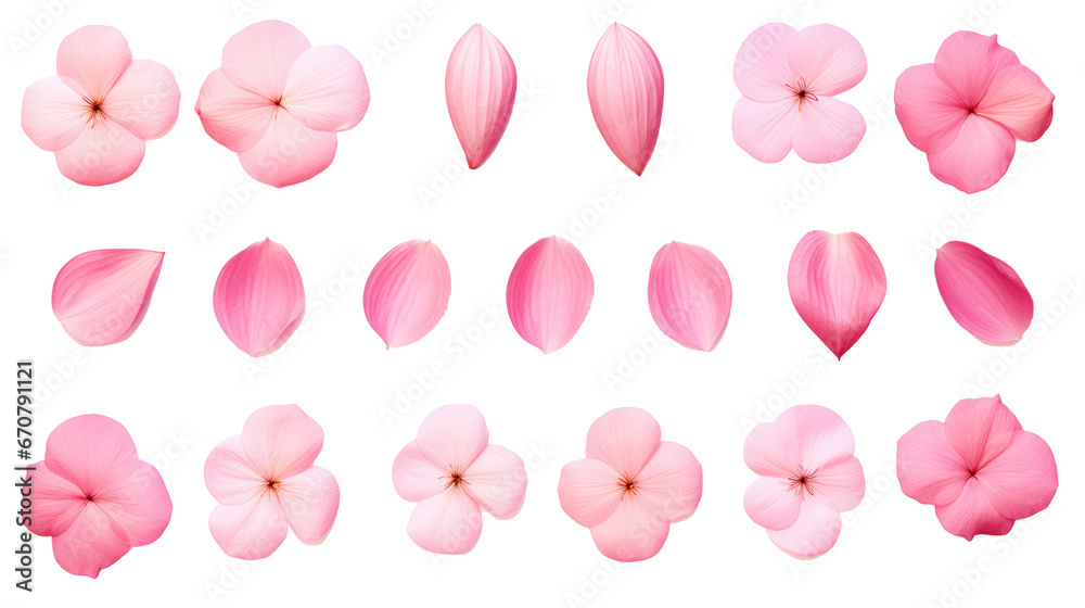 Pink flower petals isolated on a transparent background created with ...