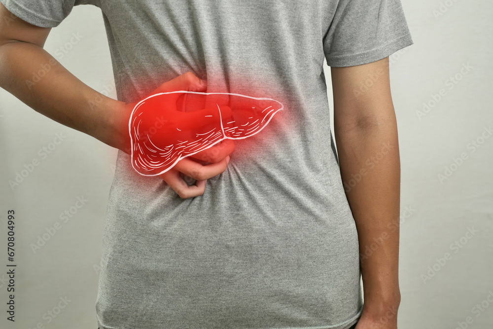 Digital composition of human liver with highlighted red inflammation on ...