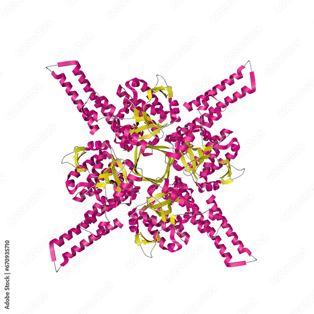 Crystal structure of herpes simplex virus 1 pUL7:pUL51 complex. Ribbons ...