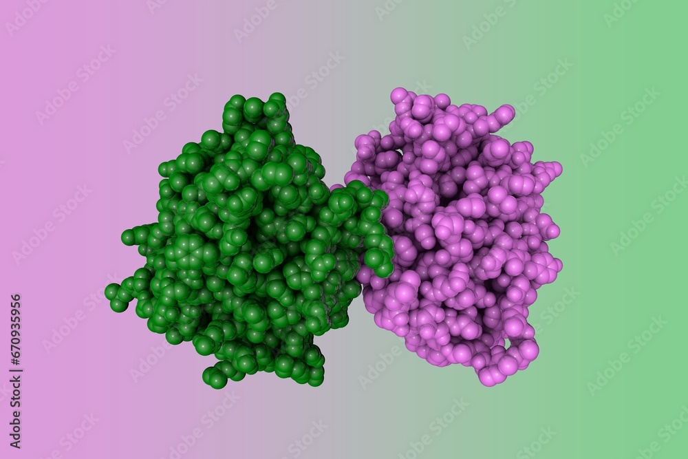 Human progesterone receptor ligand binding domain in complex with the ...