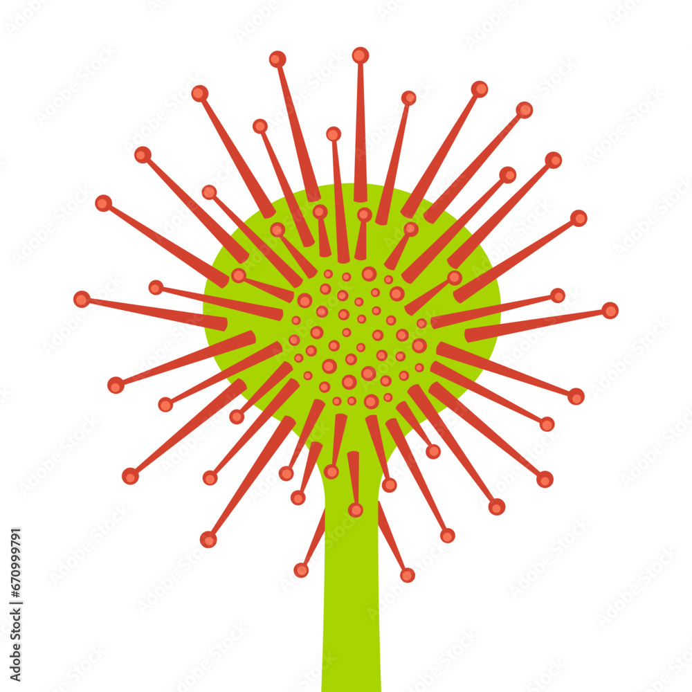 Cartoon sundews plant isolated on white background. Leaf of the round ...
