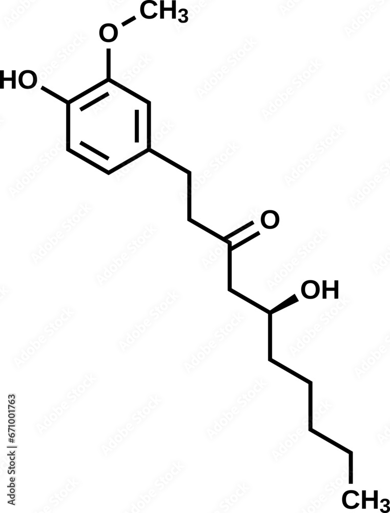 Gingerol structural formula, vector illustration Stock Vector | Adobe Stock