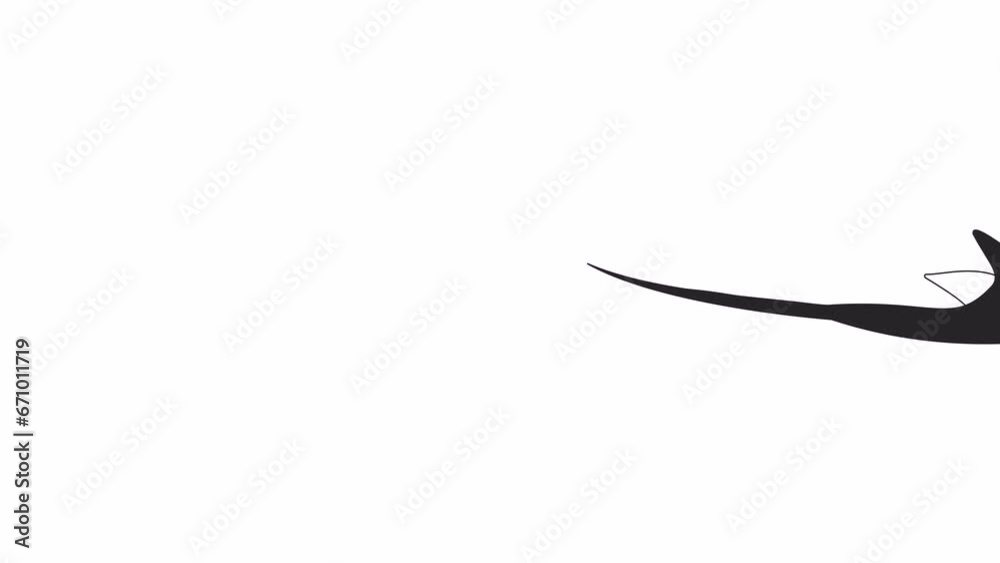 Swimming ray fish bw outline 2D character animation. Underwater ...