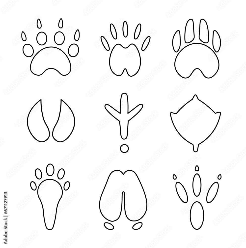Animal tracks. Coloring Page. Footprint bear, dog, wolf, goat, chicken ...