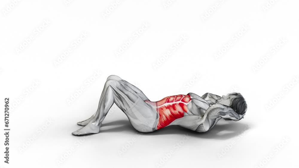 Lying Obliques Crunch-3D (008)- Anatomy of fitness and bodybuilding ...