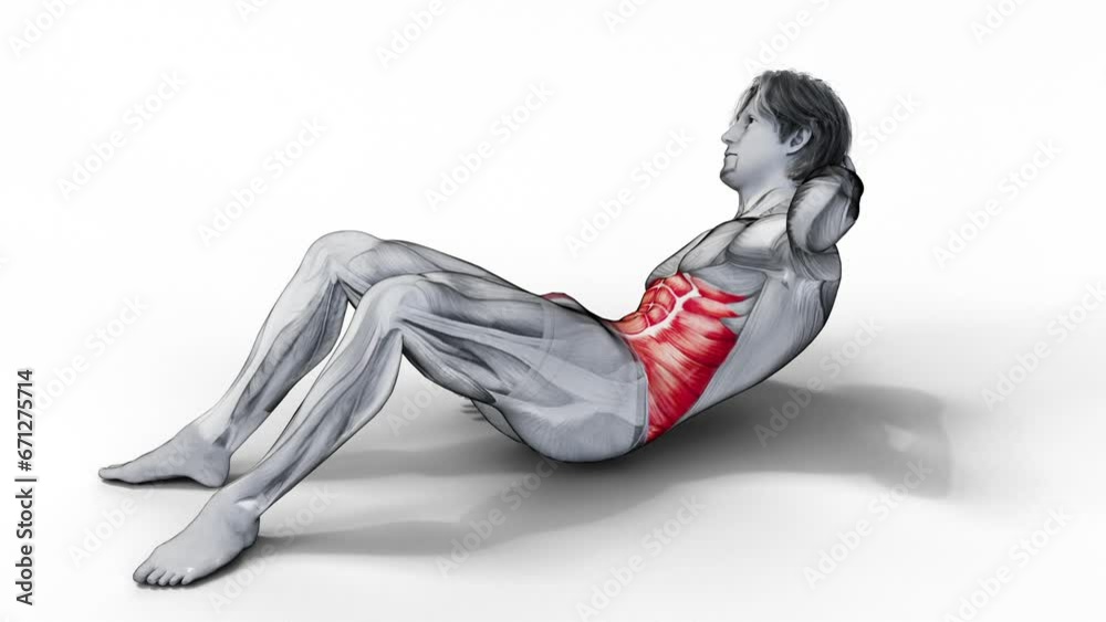 Alternate Oblique Crunch-3D (029)- Anatomy of fitness and bodybuilding ...