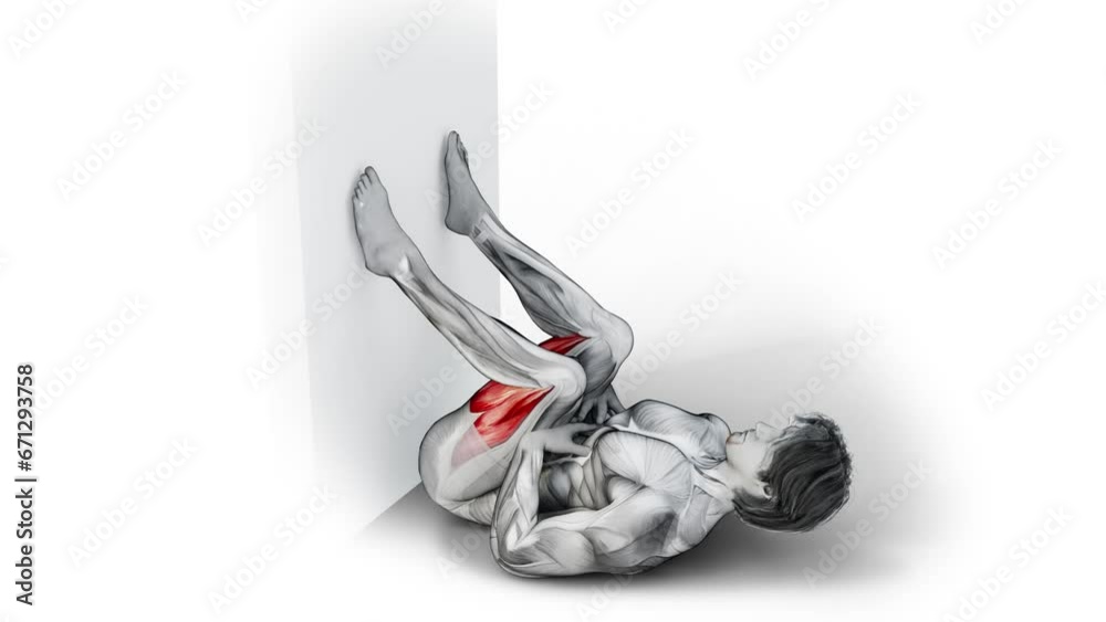 Hamstrings Stretch Variation One-3D (354)- Anatomy of fitness and ...