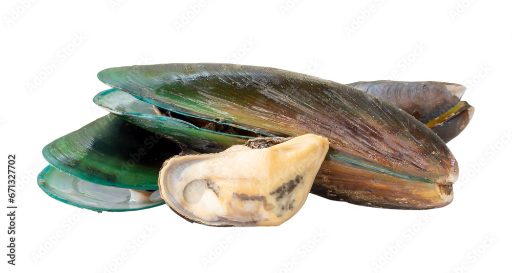 Steamed or cooked food of fresh beautiful green mussels in stack are ...