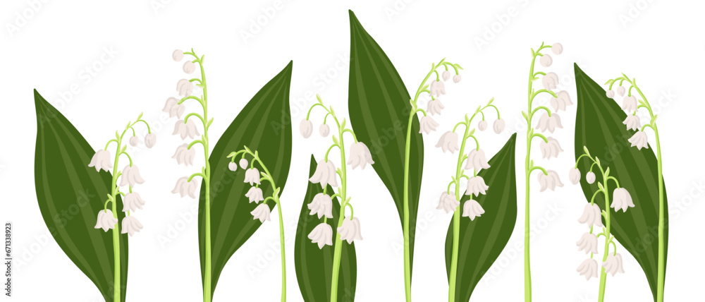 Lily of the valley,Convallaria majalis, vector drawing flowers at white ...