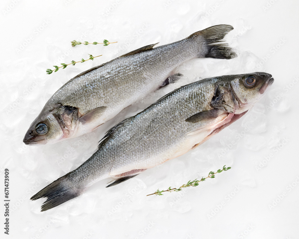 Fresh sea fish sea bass cleaned laid out on pieces ice decorated sprig ...
