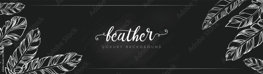 Vector Background with feathers. Luxurious feather background design ...