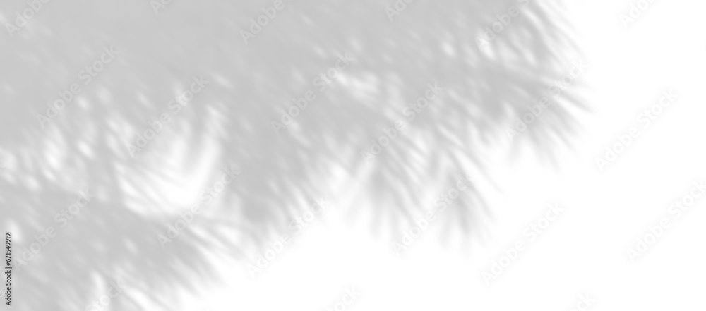 Realistic shadow shade branches leaves trees movement on transparent ...