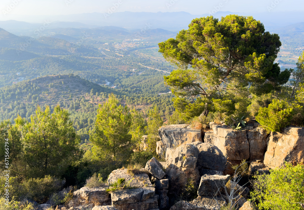 Mountains landscape, nature scenery. Green trees and huge cobblestones ...