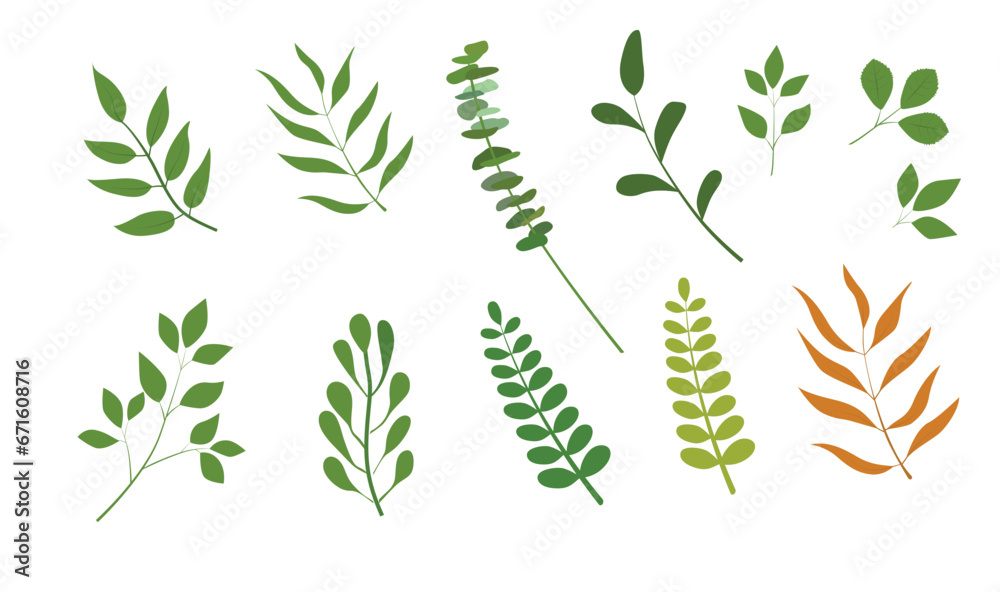 Spring leaves vector set. Floral collection. Flowers and plants clip ...
