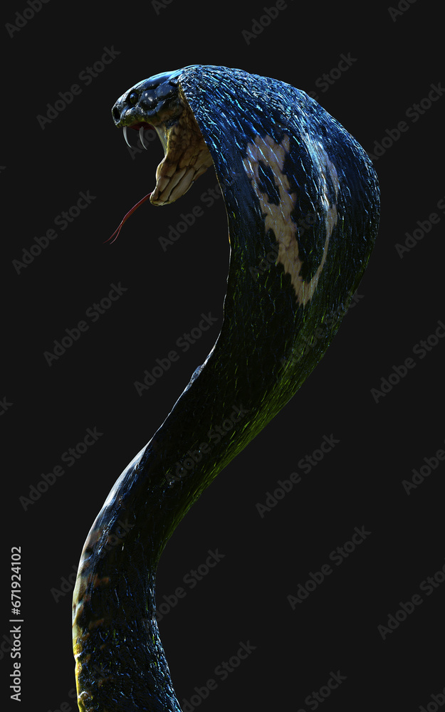 3d Illustration Close-Up of King cobra snake attack isolated on dark ...