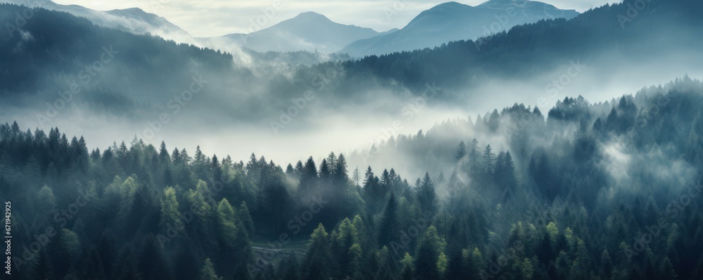 Misty shroud wrapped around rugged mountains and forest casting veil of ...