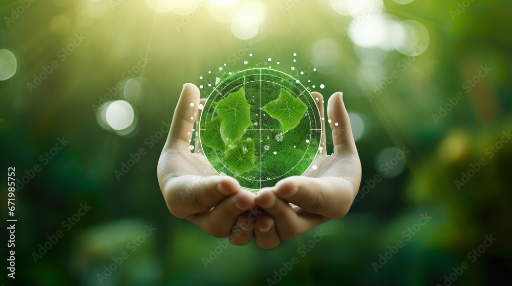 Goals of promote clean energy sustainable development on renewable ...