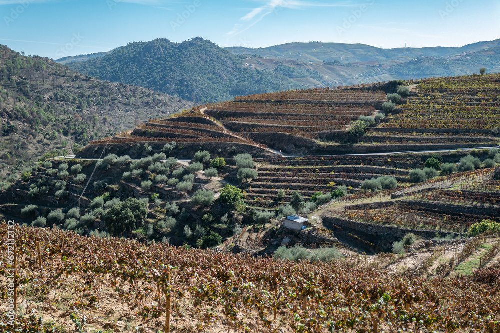 Entre montanhas, uma zona rural com algumas vinhas, com as cores ...