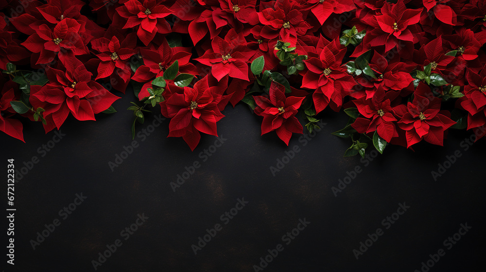 Red Christmas background with red roses and black background, 25 ...