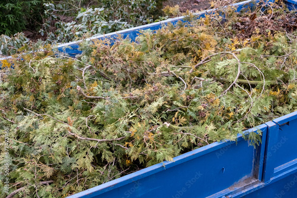 Bio waste, pine tree branches, waste are collected in a container ...