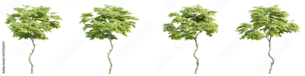 set of trees, 3D rendering, isolated on a transparent background ...