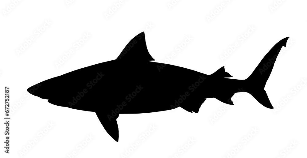 Shark silhouette side view. Bull shark side view illustration realistic ...