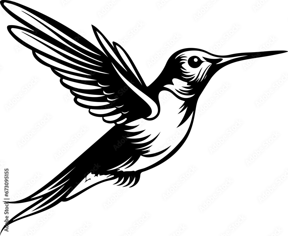 Hummingbird SVG, Bird SVG, Hummingbird Silhouette SVG, Hummingbird ...