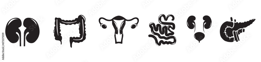 Human internal organs. Vector sketch isolated illustration. Hand drawn ...