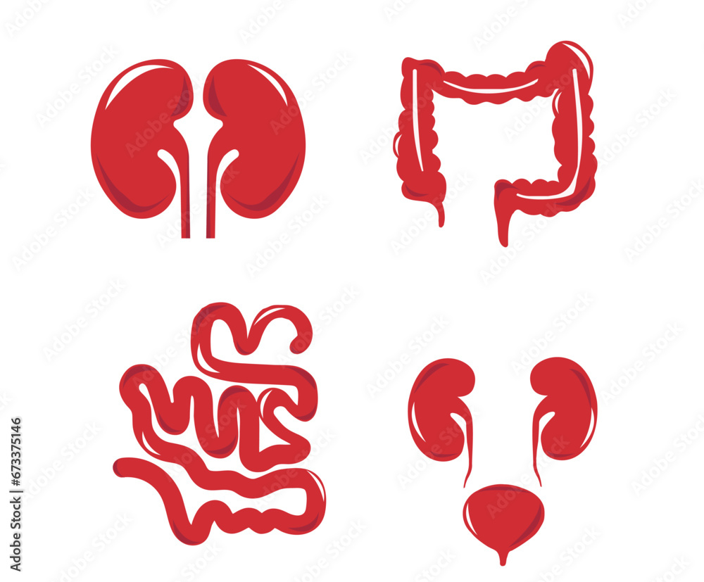 Human internal organs. Vector sketch isolated illustration. Hand drawn ...