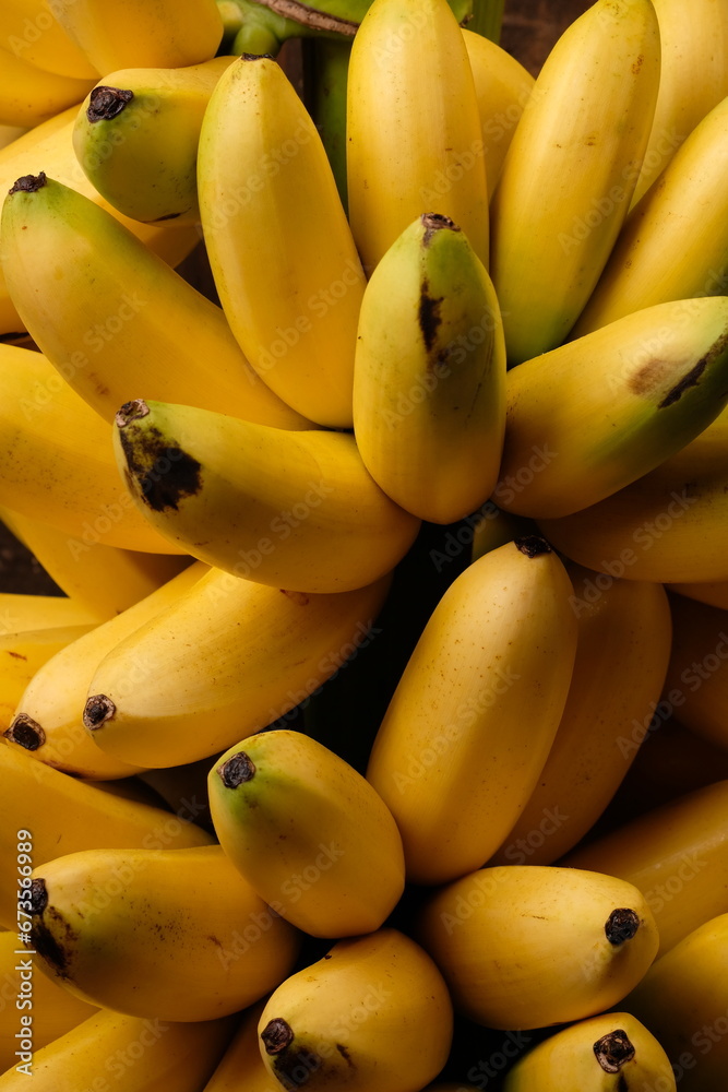 Lady Finger bananas are diploid cultivars of Musa acuminata. They are ...