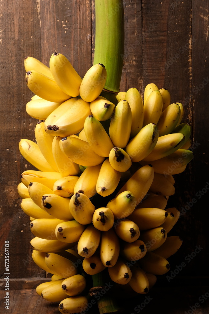 Lady Finger bananas are diploid cultivars of Musa acuminata. They are ...
