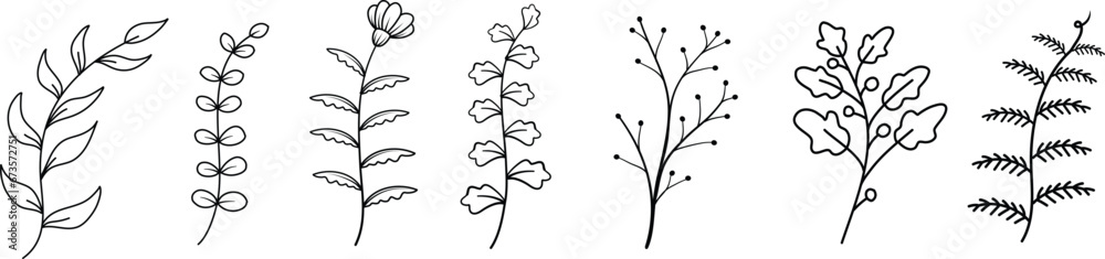 Set botanical line art of wild flowers and plants vector illustrations ...