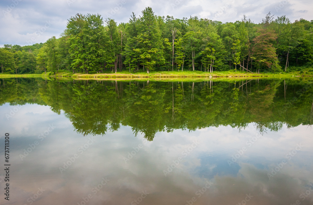 Quaker Lake at Allegany State Park in New York State Stock Photo ...