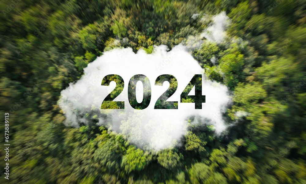New year 2024 concept for sustainable environmental development goals ...