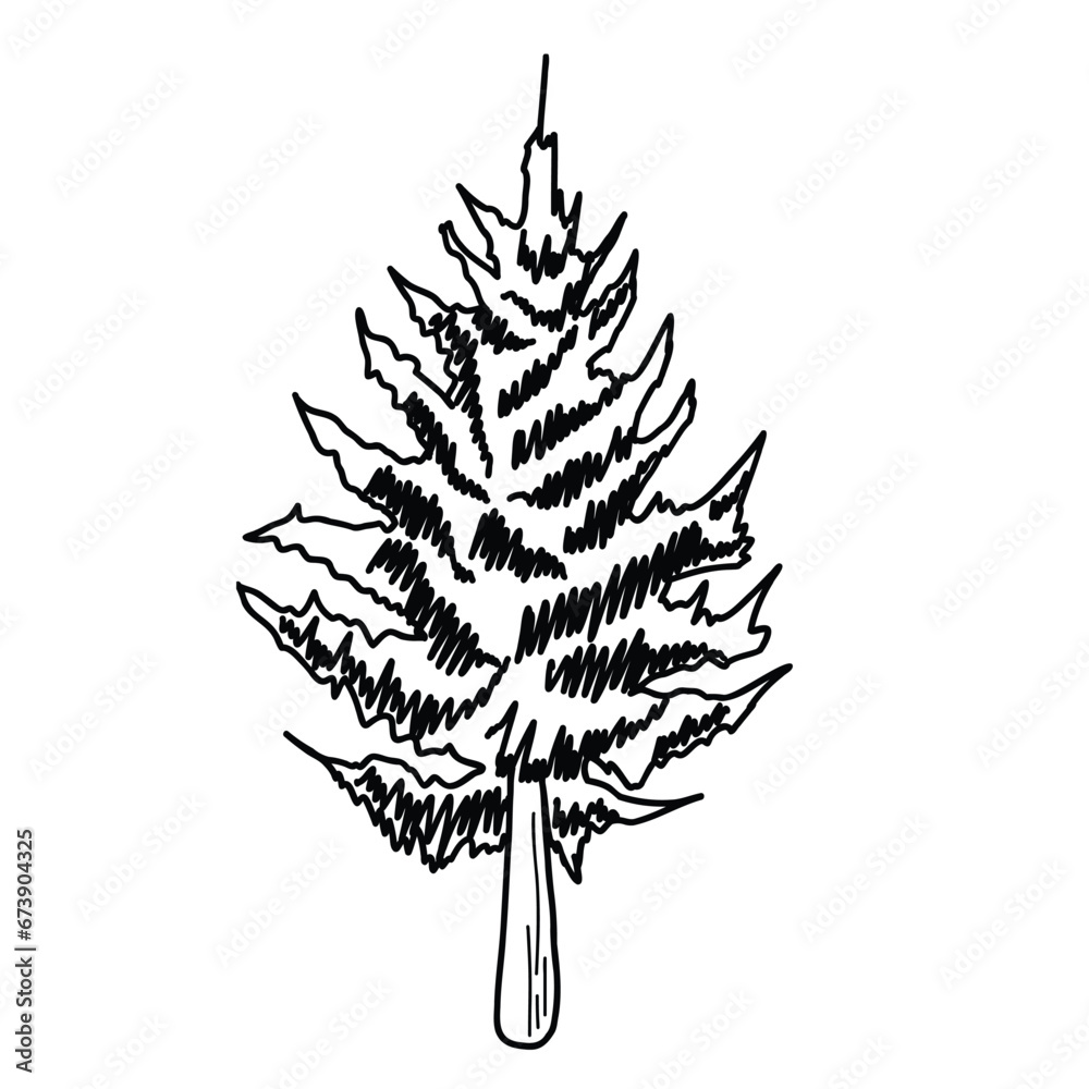 forest Tree line. set of graphics trees elements outline symbol for ...