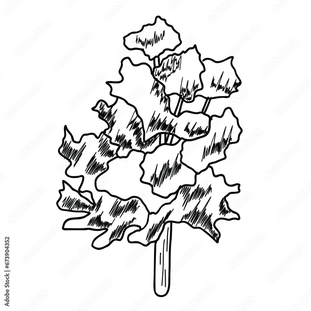 forest Tree line. set of graphics trees elements outline symbol for ...