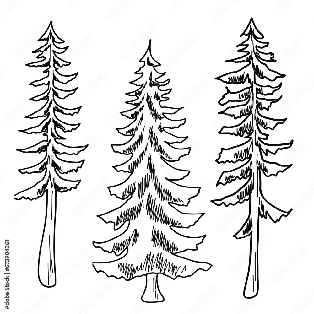 forest Tree line. set of graphics trees elements outline symbol for ...