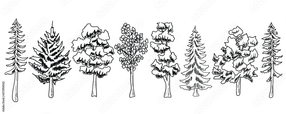 forest Tree line. set of graphics trees elements outline symbol for ...