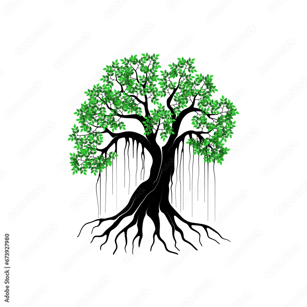 Banyan Tree vector illustration isolated on white background Stock ...