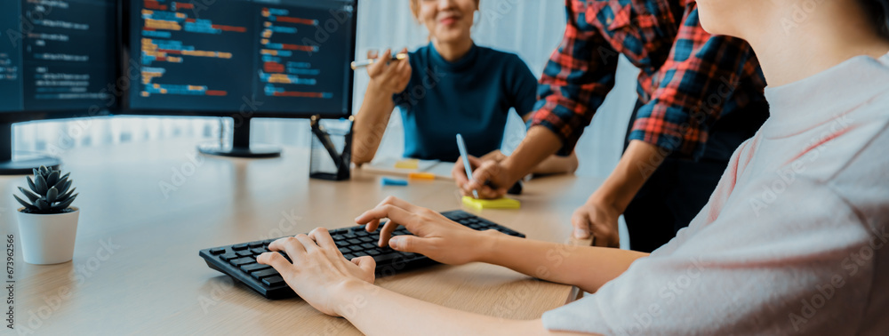 Young Professional website developer and cooperative computer engineer ...