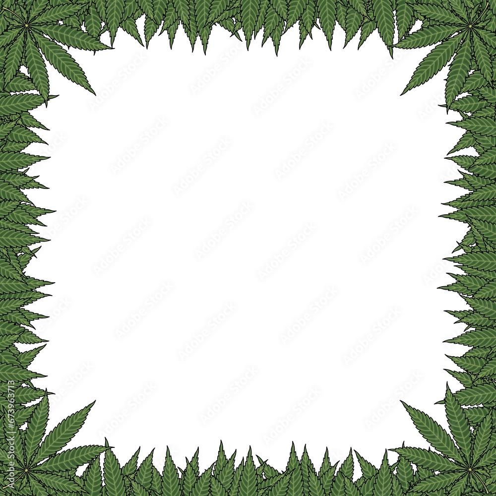 Cannabis leaves illustration frame on transparent background. Marijuana ...