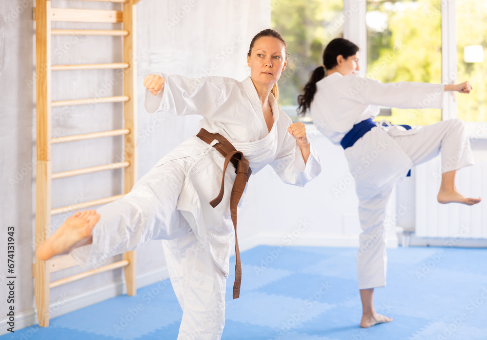 Two female karateka focused intently on perfecting their roundhouse ...