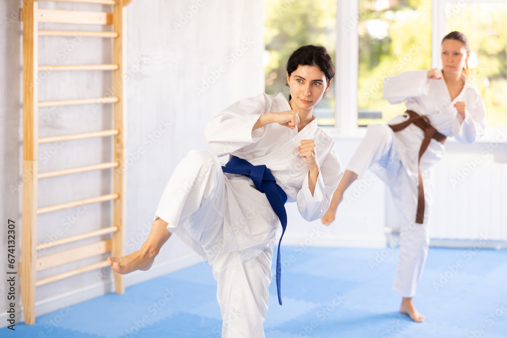 Two female karateka focused intently on perfecting their roundhouse ...